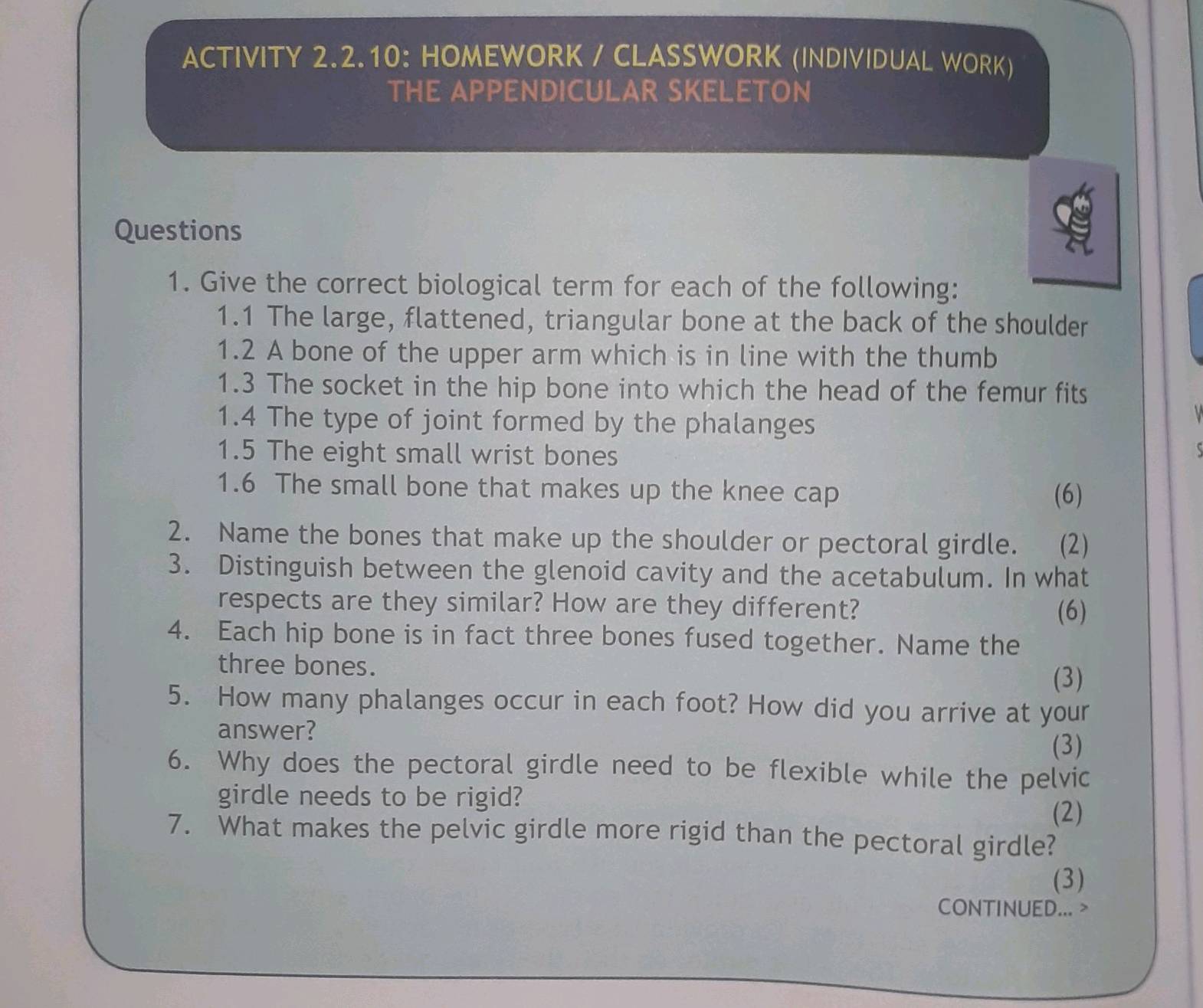 Why does the pectoral girdle need to be | StudyX