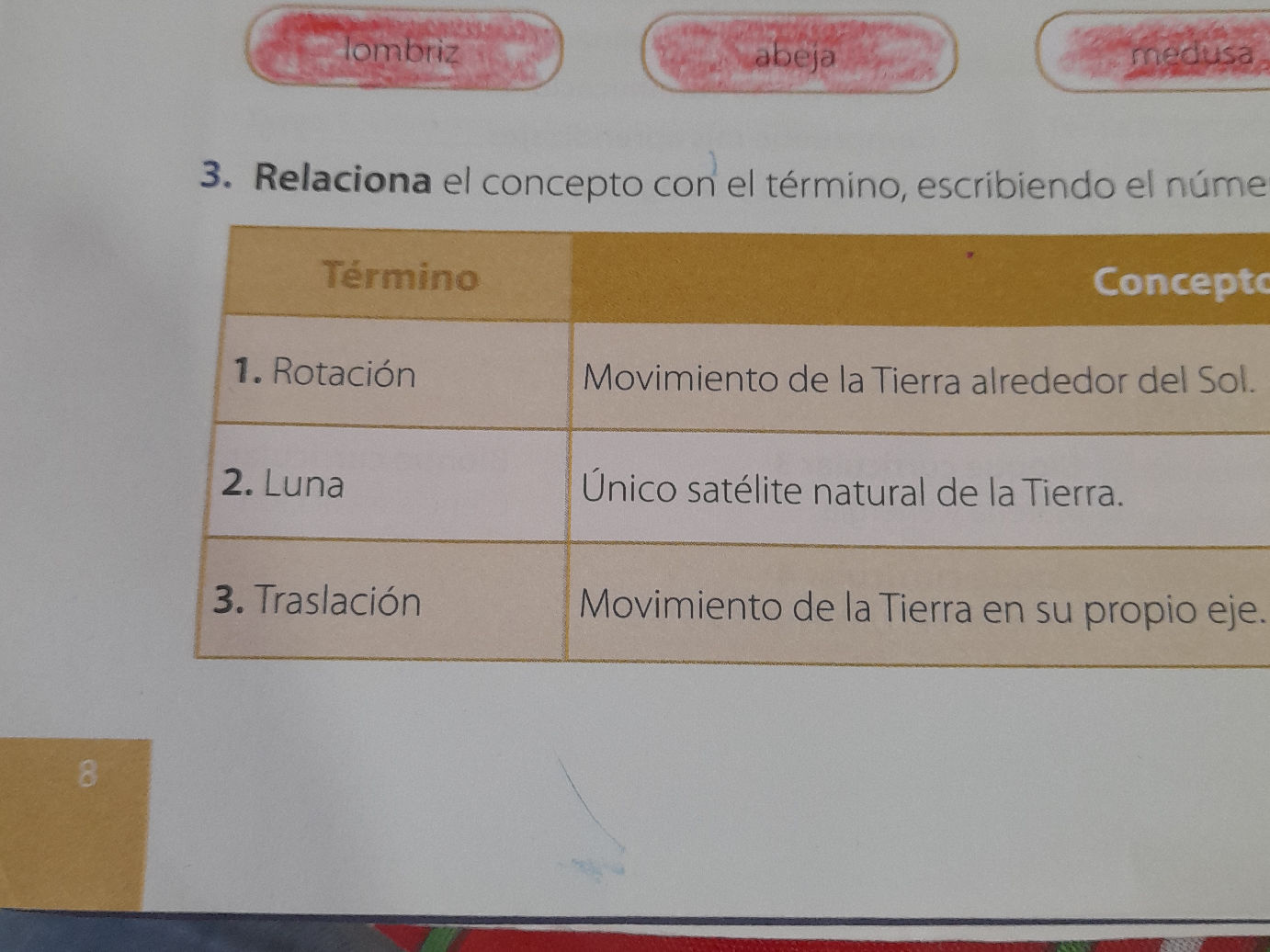 3. Relaciona el concepto con el término, | StudyX
