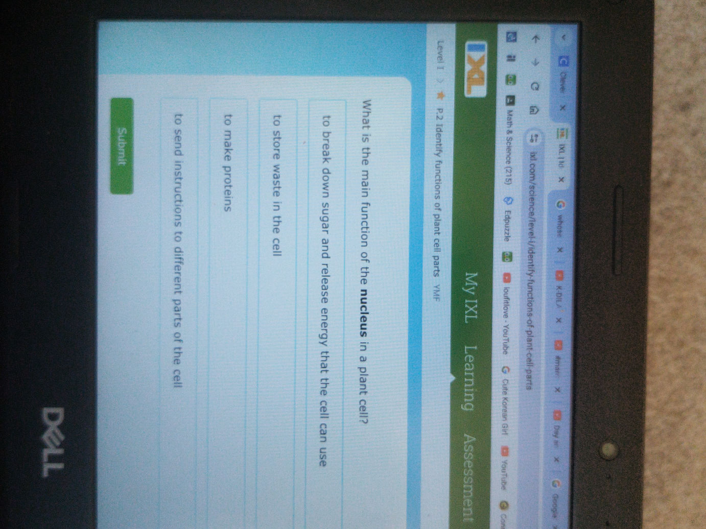 What is the main function of the nucleus in | StudyX