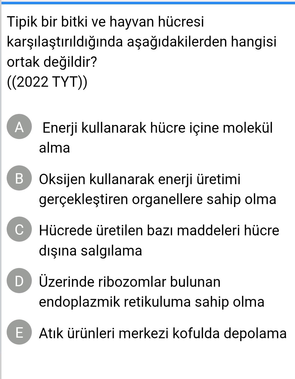 Tipik bir bitki ve hayvan hücresi | StudyX