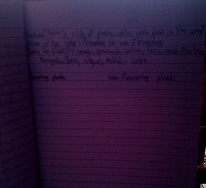 Below is a list of plants, write each plant | StudyX