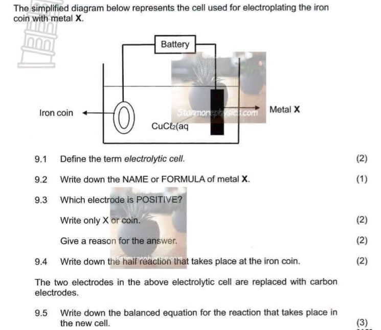 The simplified diagram below represents the | StudyX