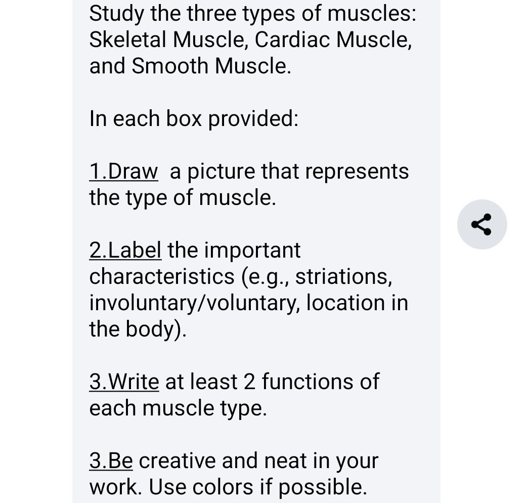 Study the three types of muscles: Skeletal | StudyX