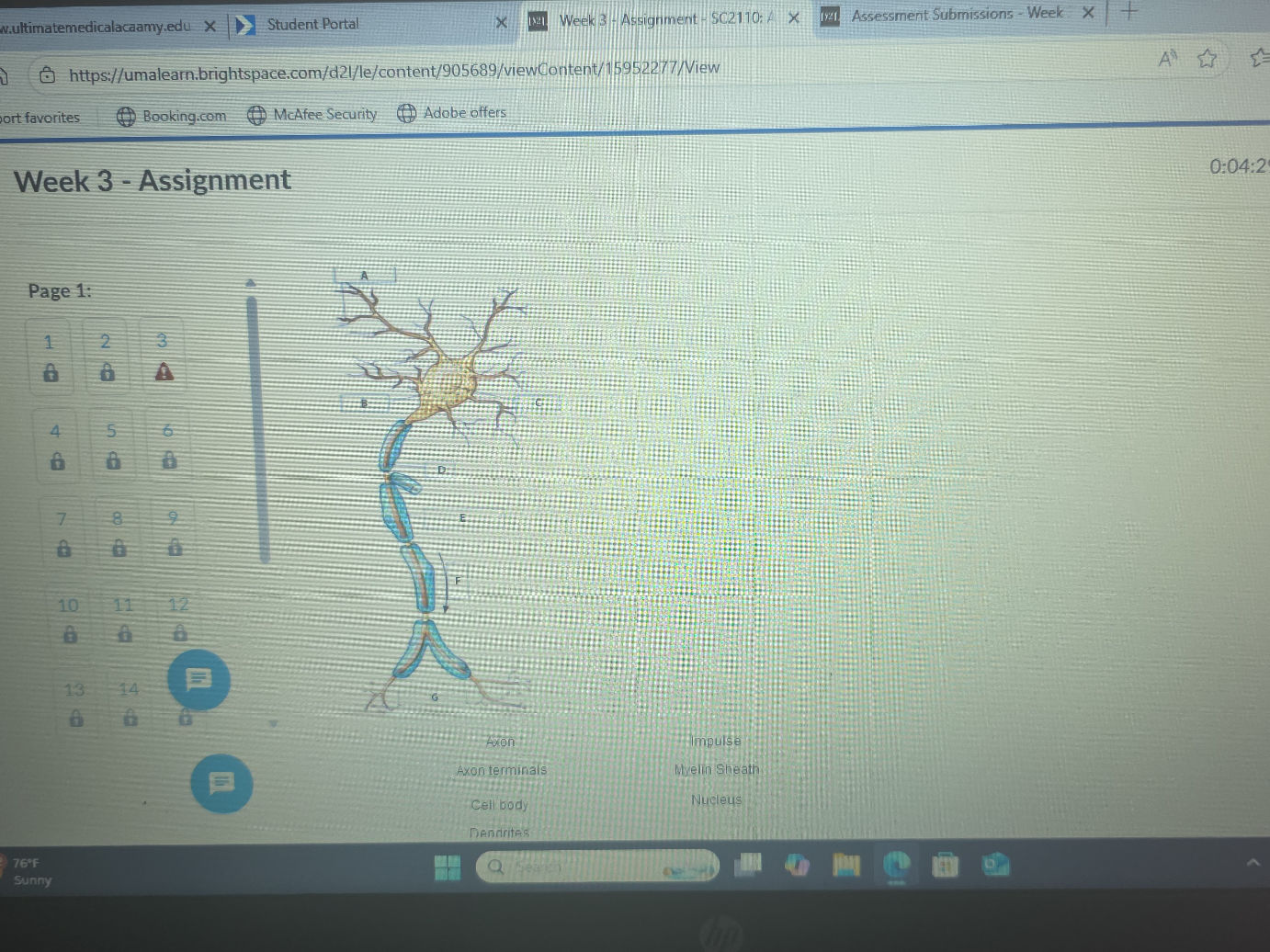 A B C D E F G Axon Axon terminals Cell body | StudyX