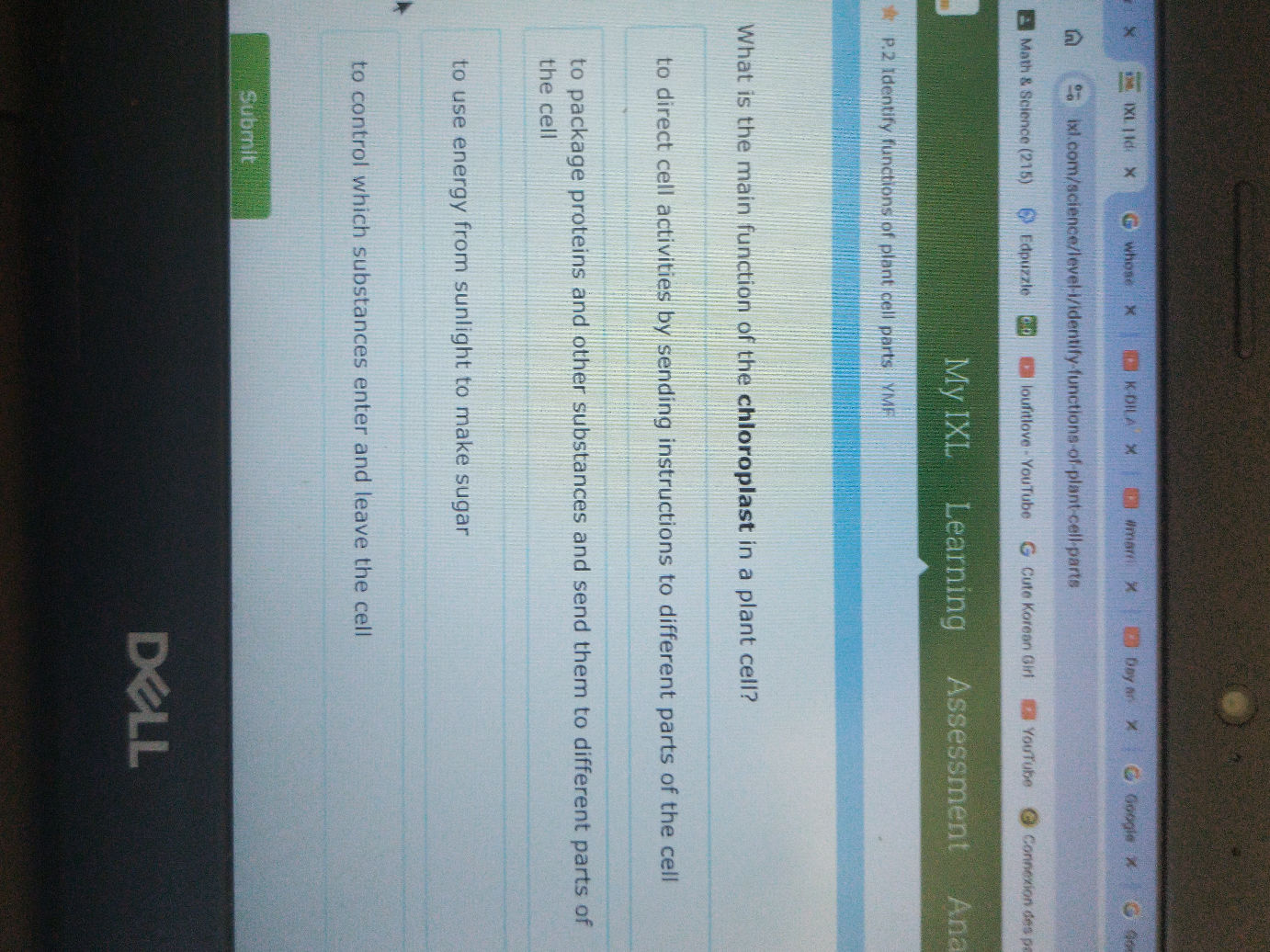 What is the main function of the chloroplast | StudyX