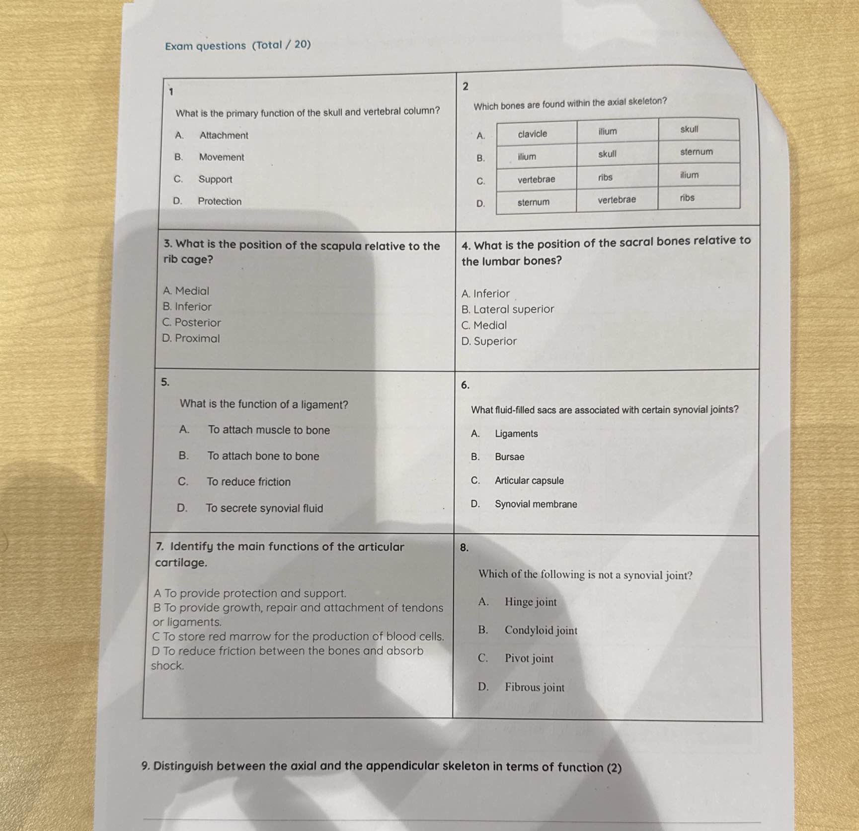Which bones are found within the axial | StudyX