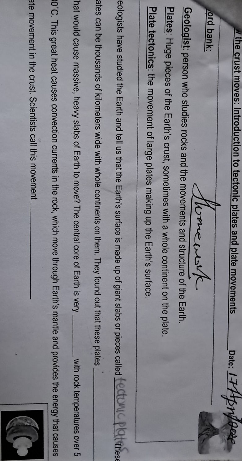 Geologist: person who studies rocks and the | StudyX