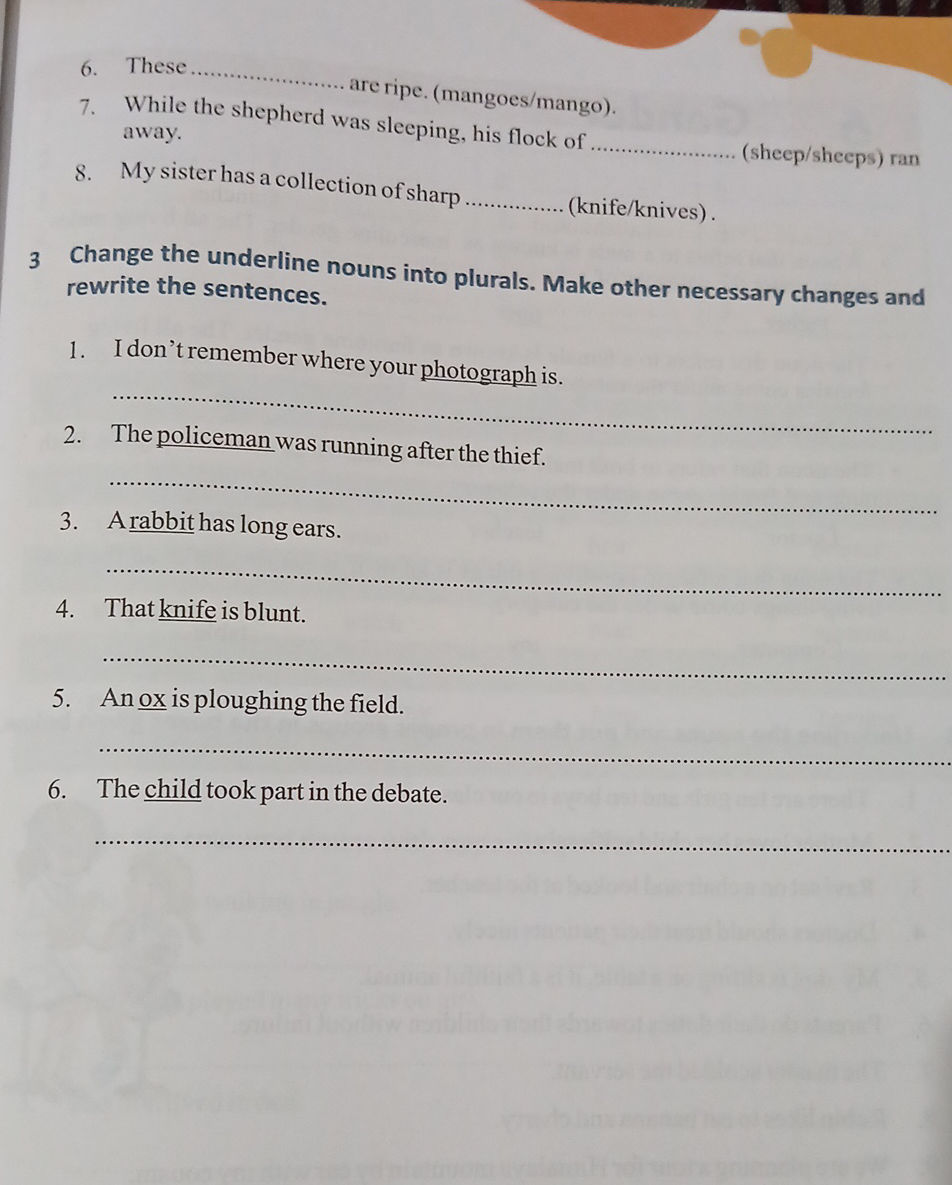 Change the underline nouns into plurals. | StudyX