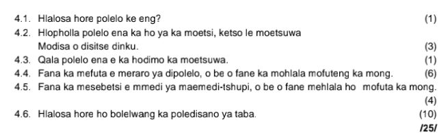 4.1. Hlalosa hore polelo ke eng? 4.2. | StudyX