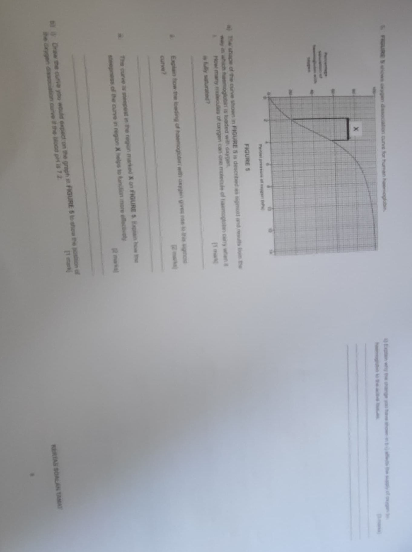 FIGURE 5 shows oxygen dissociation curve for | StudyX
