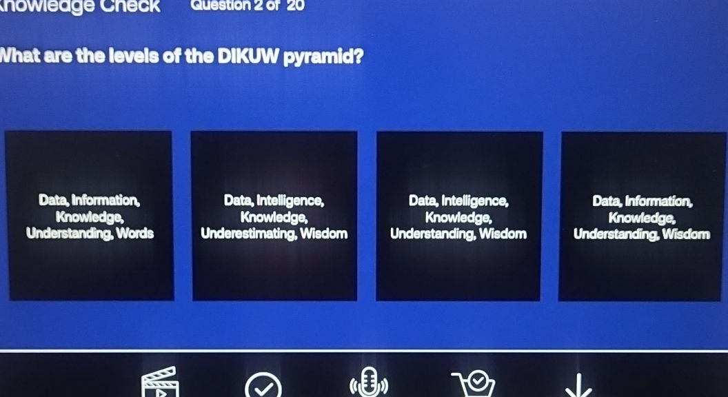 What are the levels of the DIKUW pyramid?