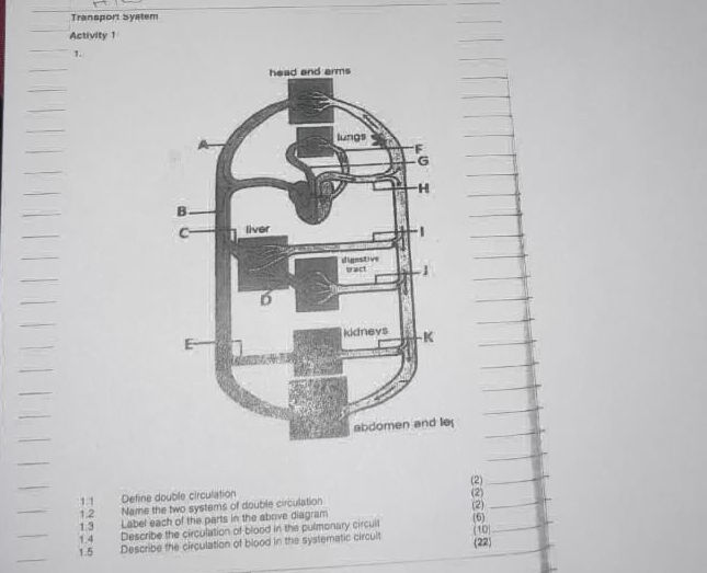 1.1 Define double circulation 1.2 Name the | StudyX