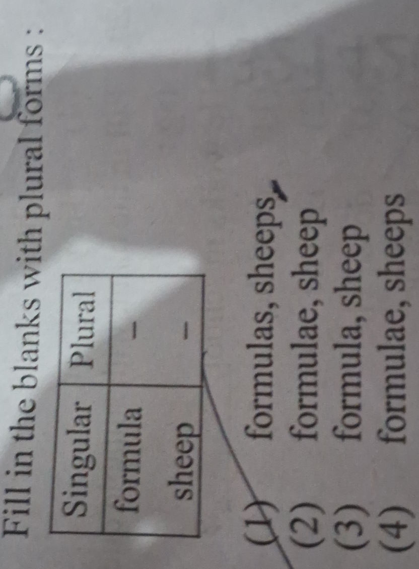 Fill in the blanks with plural forms: | | StudyX