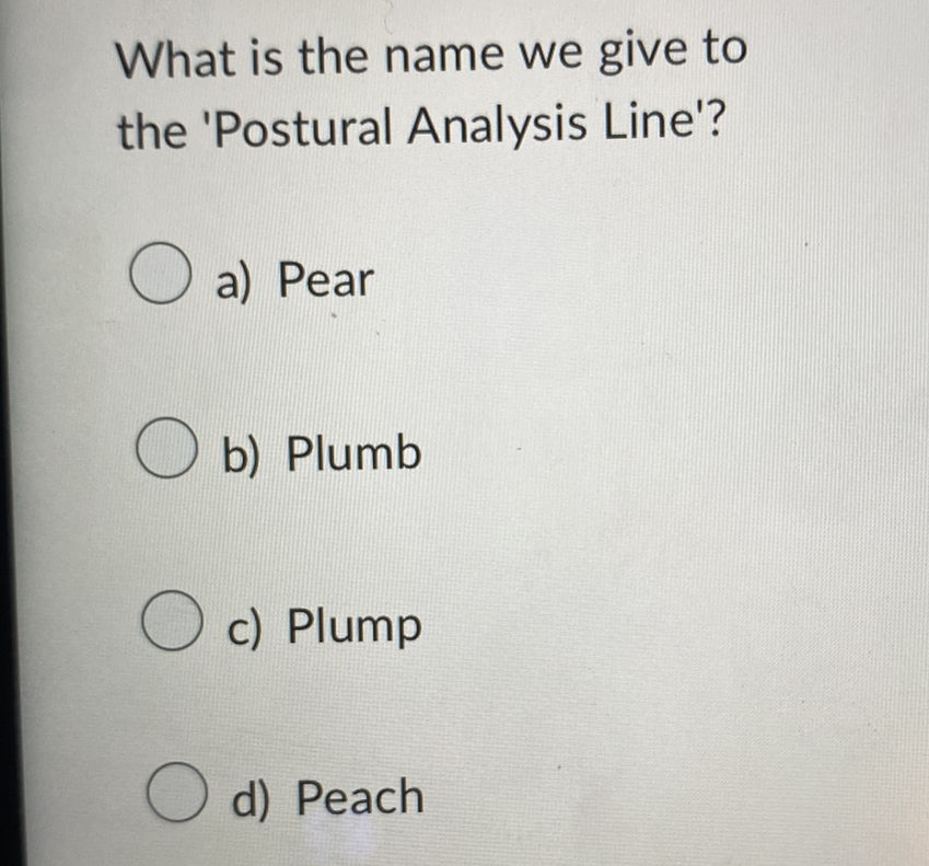 What is the name we give to the 'Postural | StudyX