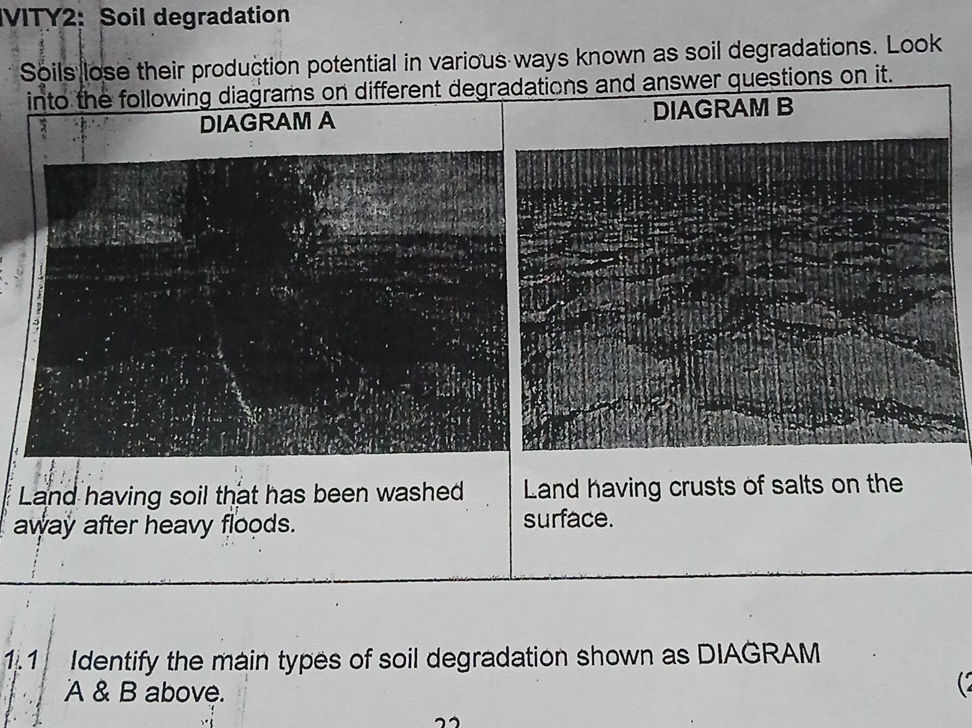 Identify the main types of soil degradation | StudyX