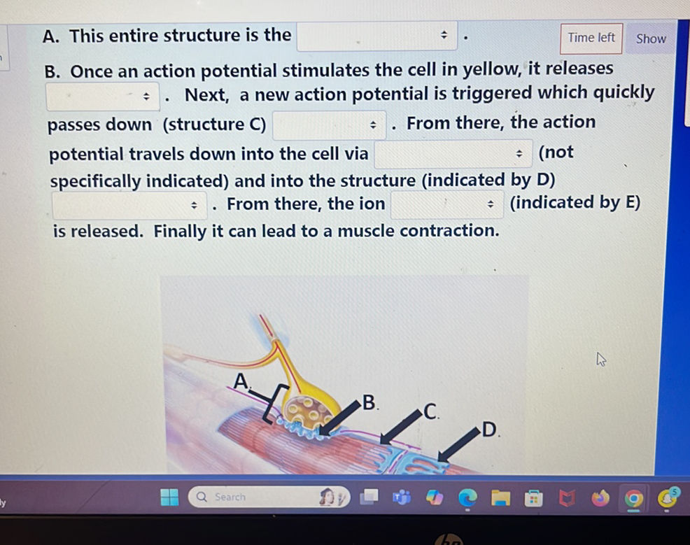 A. This entire structure is the B. Once an | StudyX