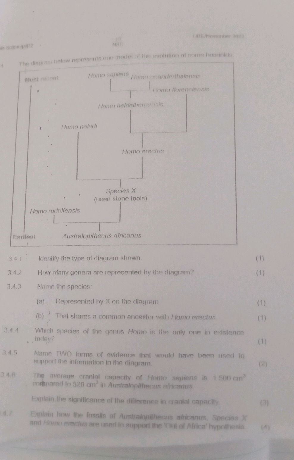 The diagram below represents one model of | StudyX