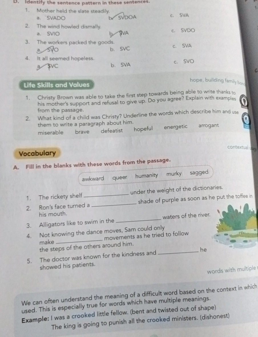 D. Identify the sentence pattern in these | StudyX