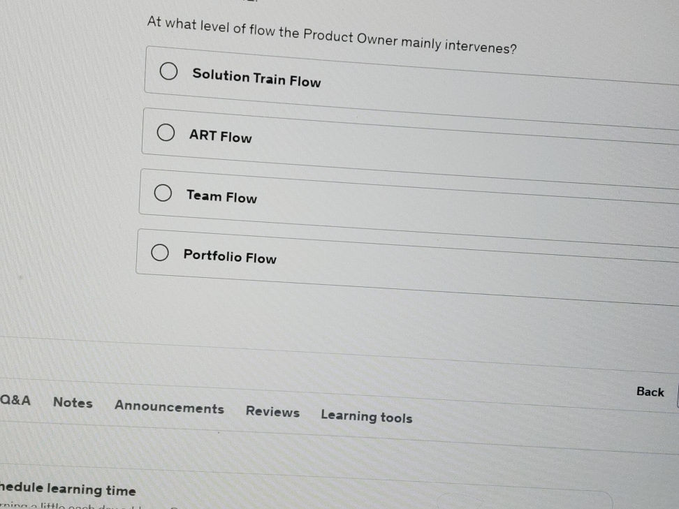 At what level of flow the Product Owner | StudyX