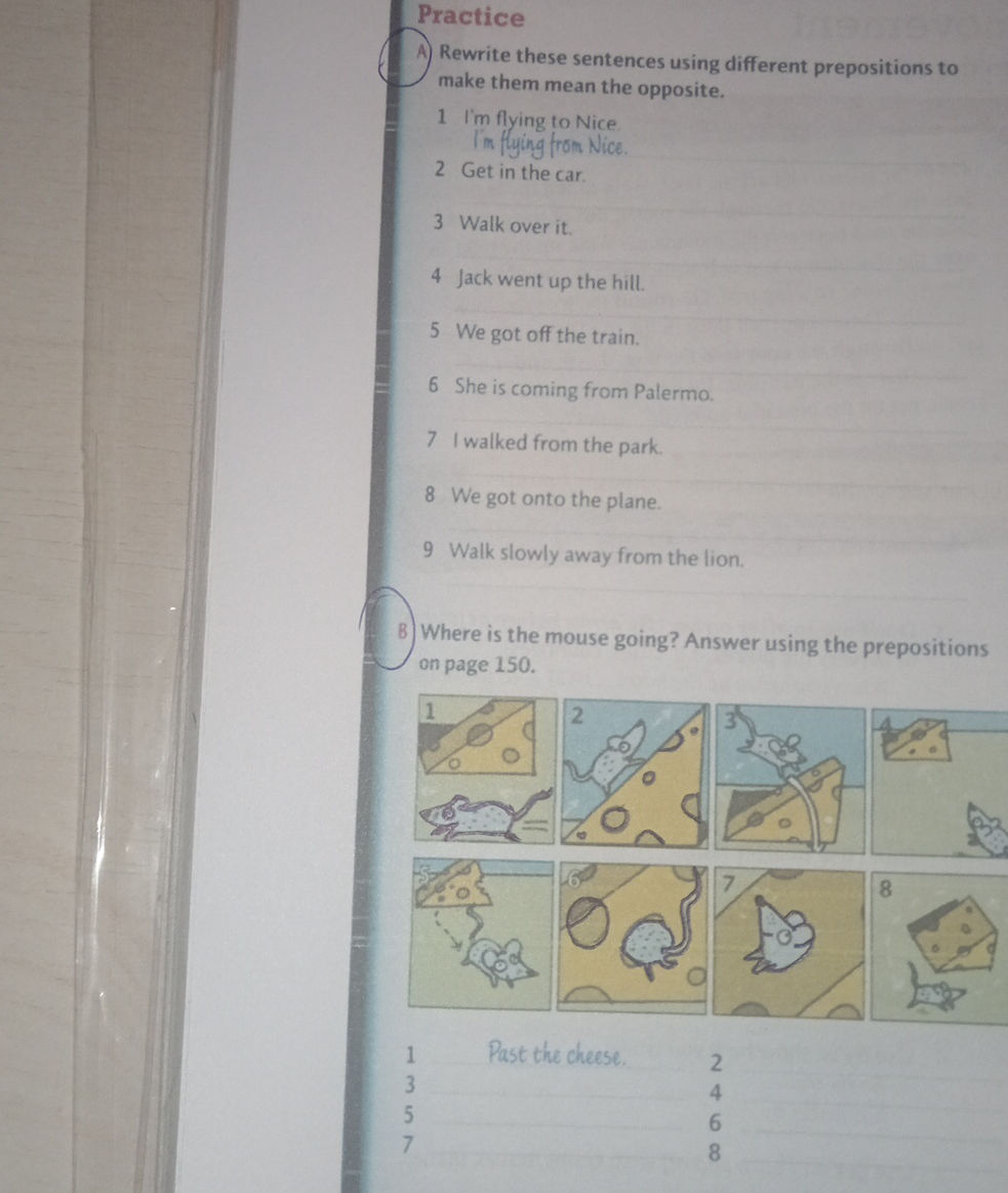 A Rewrite these sentences using different | StudyX