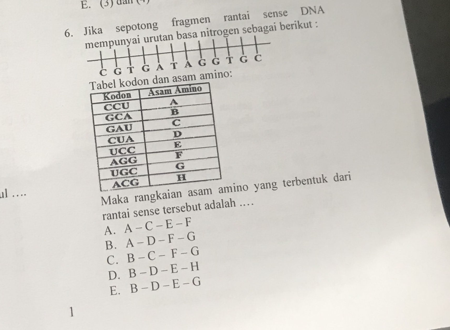 6. Jika sepotong fragmen rantai sense DNA | StudyX