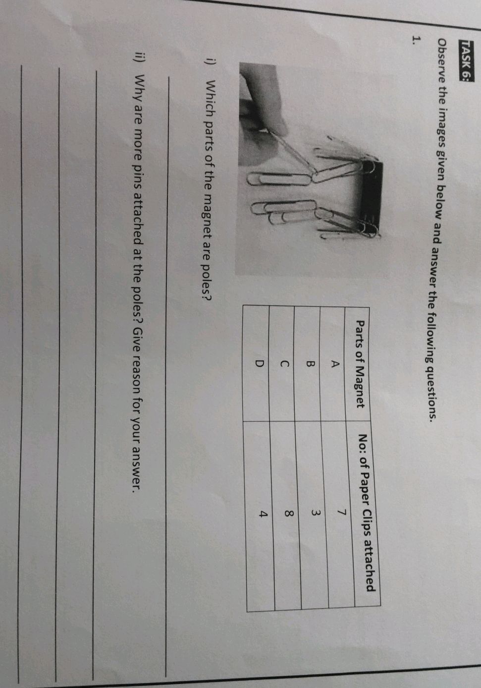 1. Observe the images given below and answer | StudyX