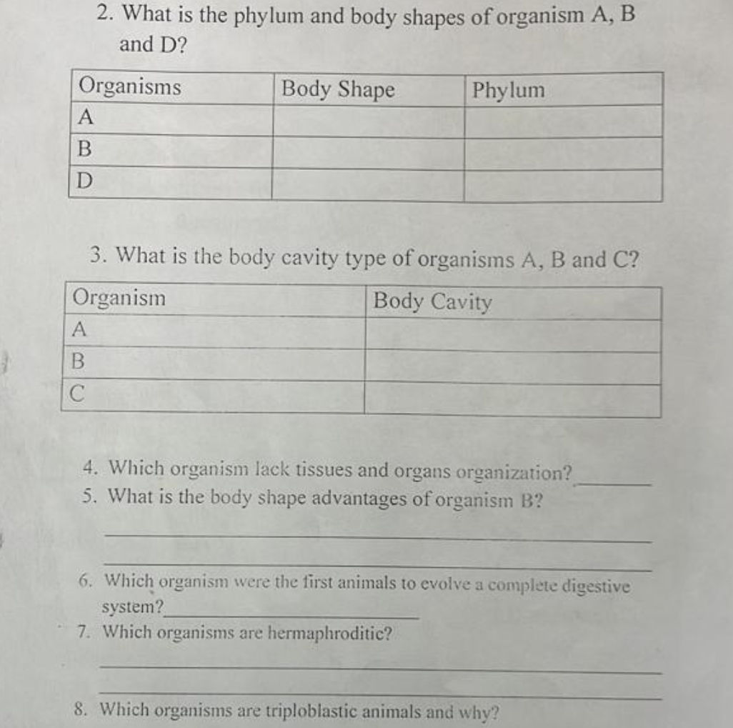 2. What is the phylum and body shapes of | StudyX