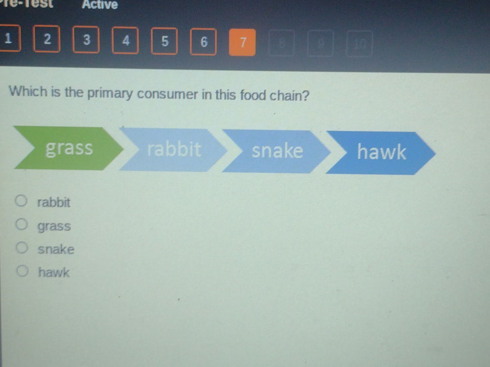 Which is the primary consumer in this food | StudyX
