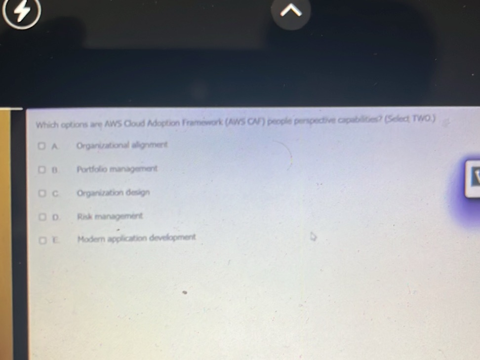 Which options are AWS Cloud Adoption | StudyX