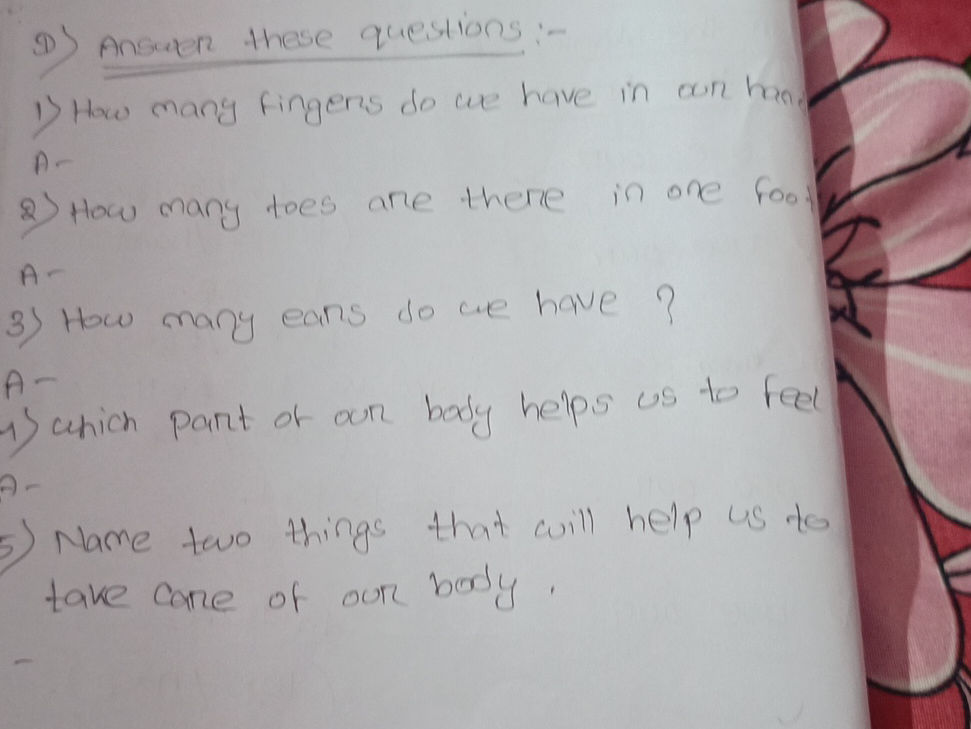 D) Answer these questions:- 1) How many | StudyX