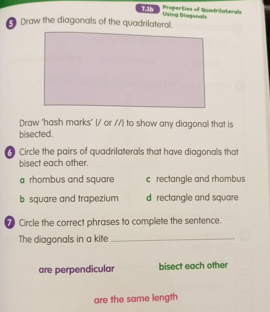 5 Draw the diagonals of the quadrilateral. | StudyX