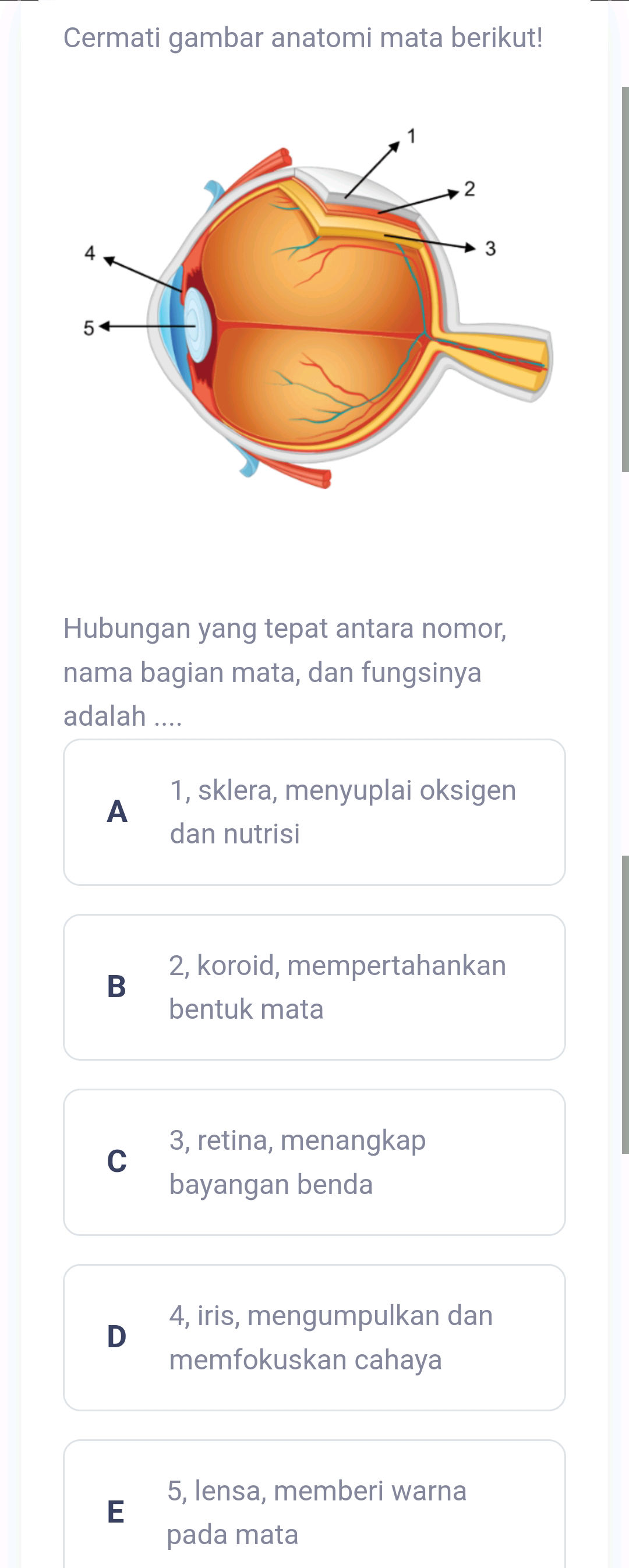 Cermati gambar anatomi mata berikut! | StudyX