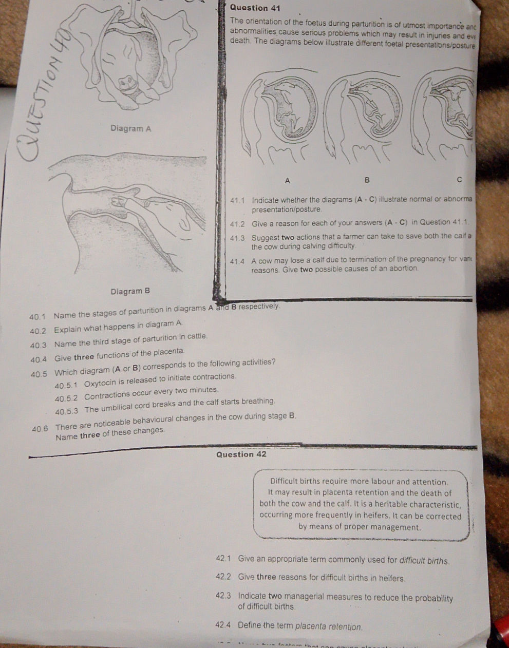 Question 40 Diagram A Diagram B 40.1 Name | StudyX