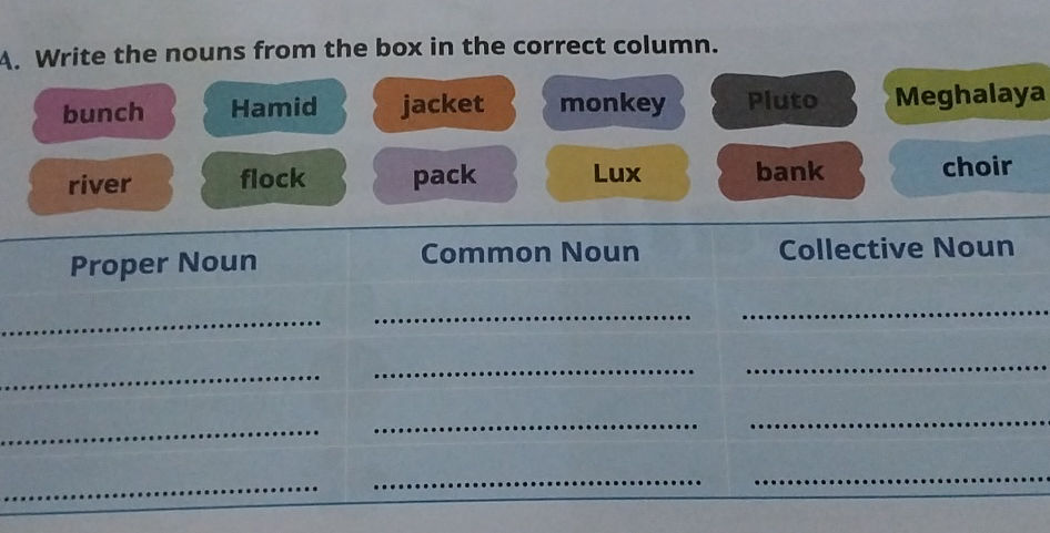 A. Write the nouns from the box in the | StudyX