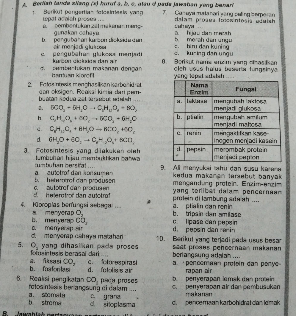 Berikut pengertian fotosintesis yang tepat | StudyX