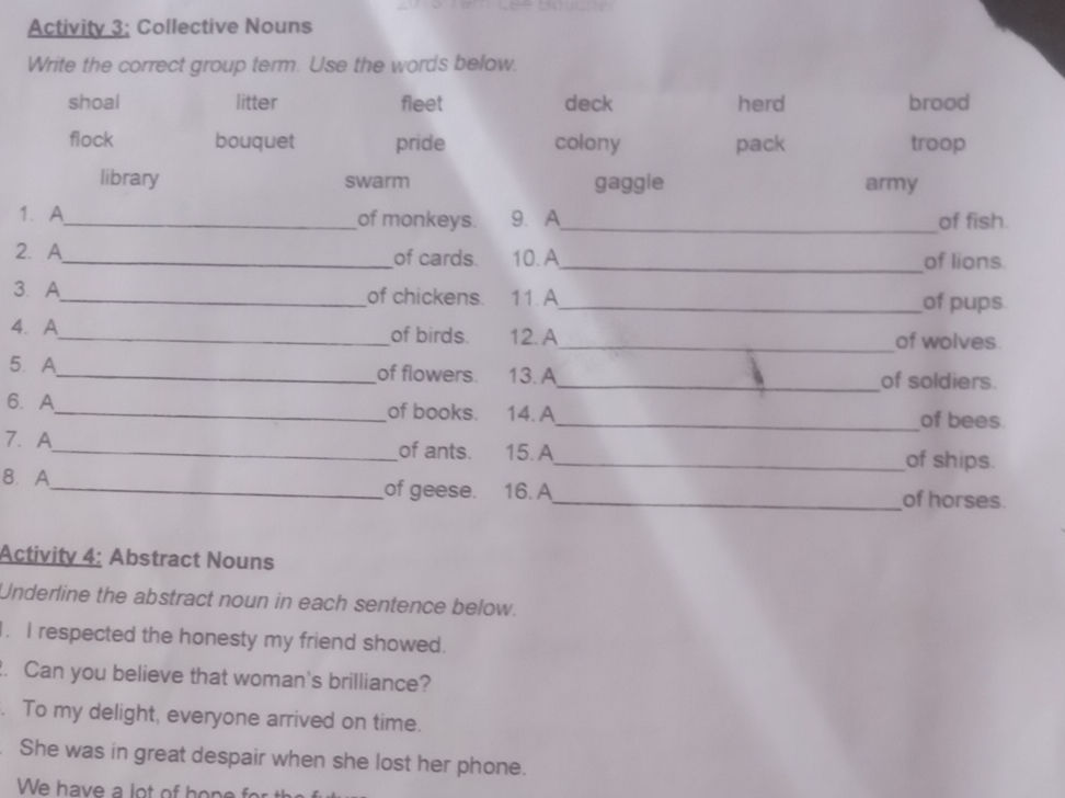 Activity 3: Collective Nouns Write the | StudyX