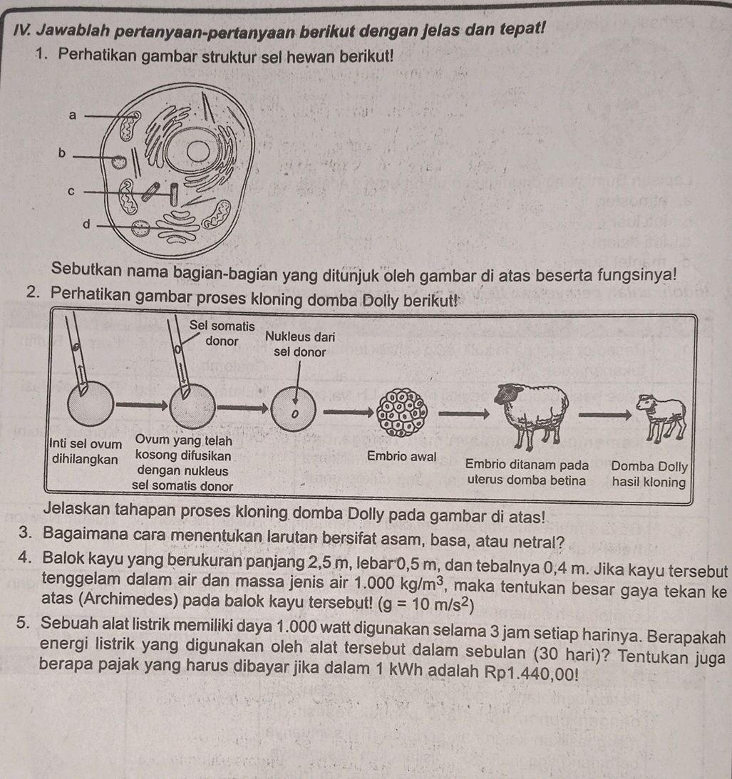 1. Perhatikan gambar struktur sel hewan | StudyX