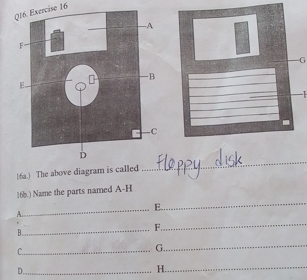 Q16. Exercise 16 16a.) The above diagram is | StudyX