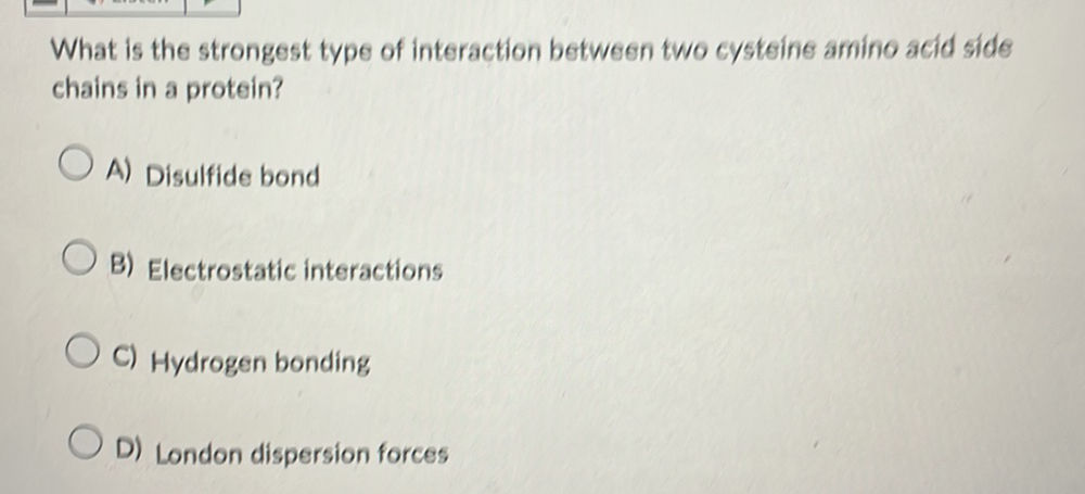 What is the strongest type of interaction | StudyX