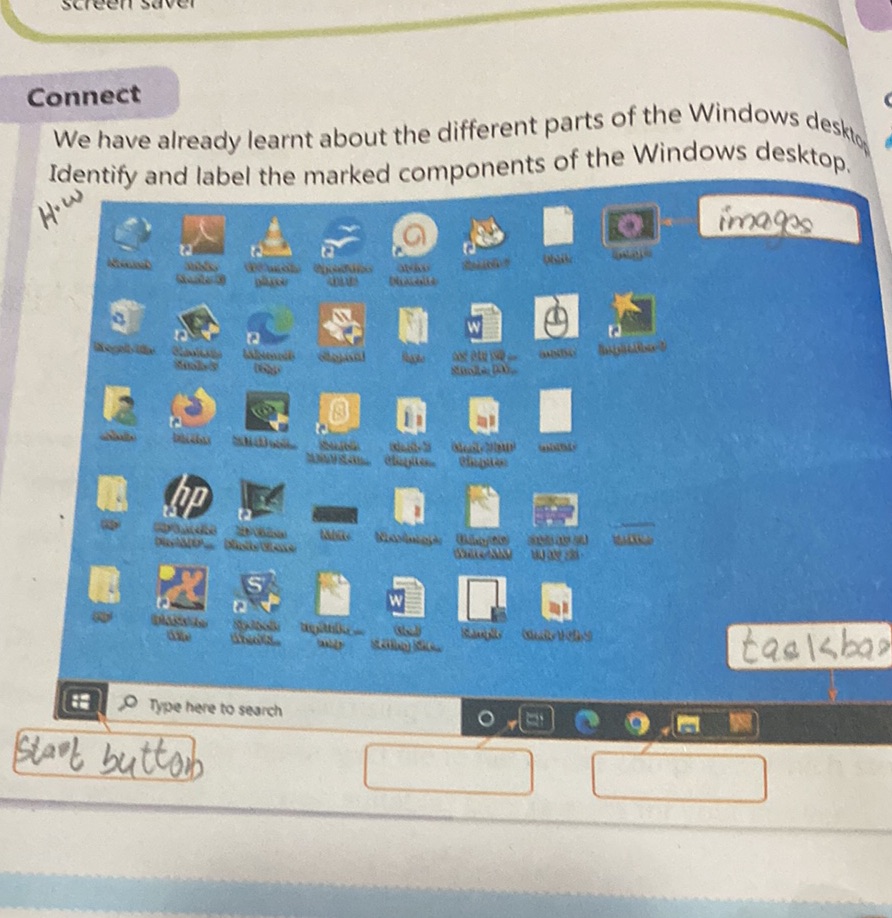 Identify and label the marked components of | StudyX