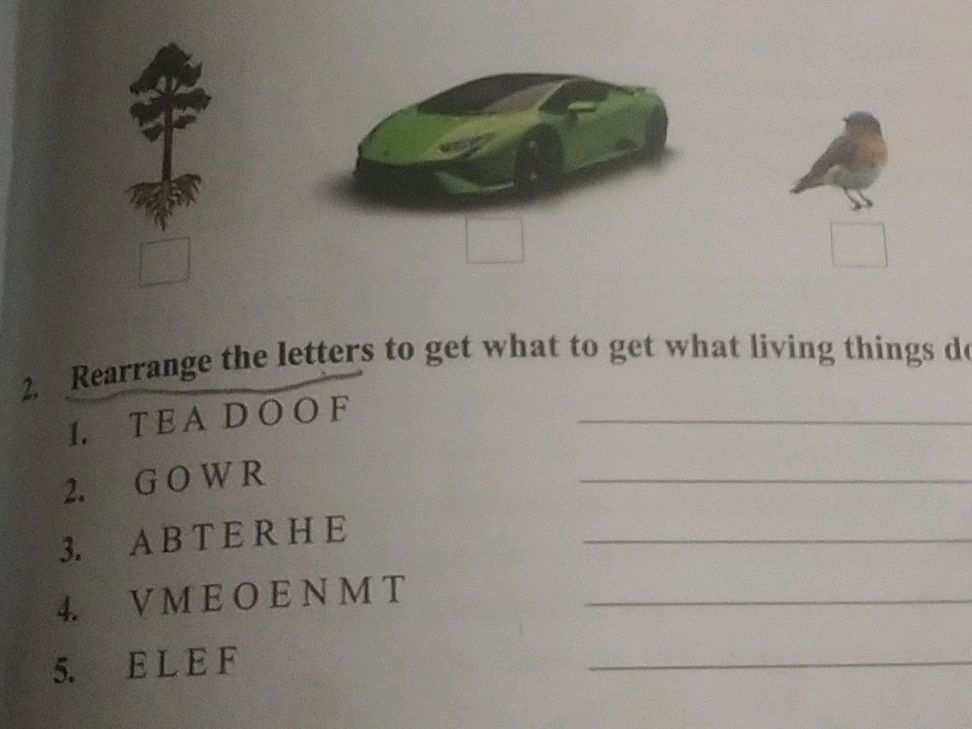 Rearrange the letters to get what to get | StudyX