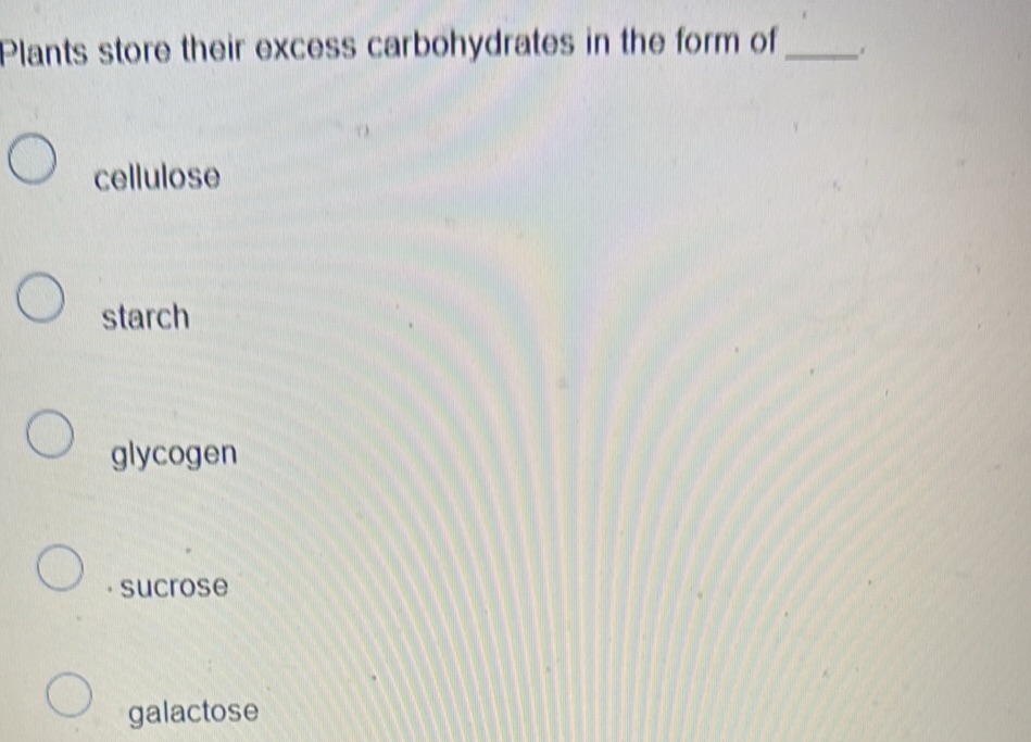 Plants store their excess carbohydrates in | StudyX