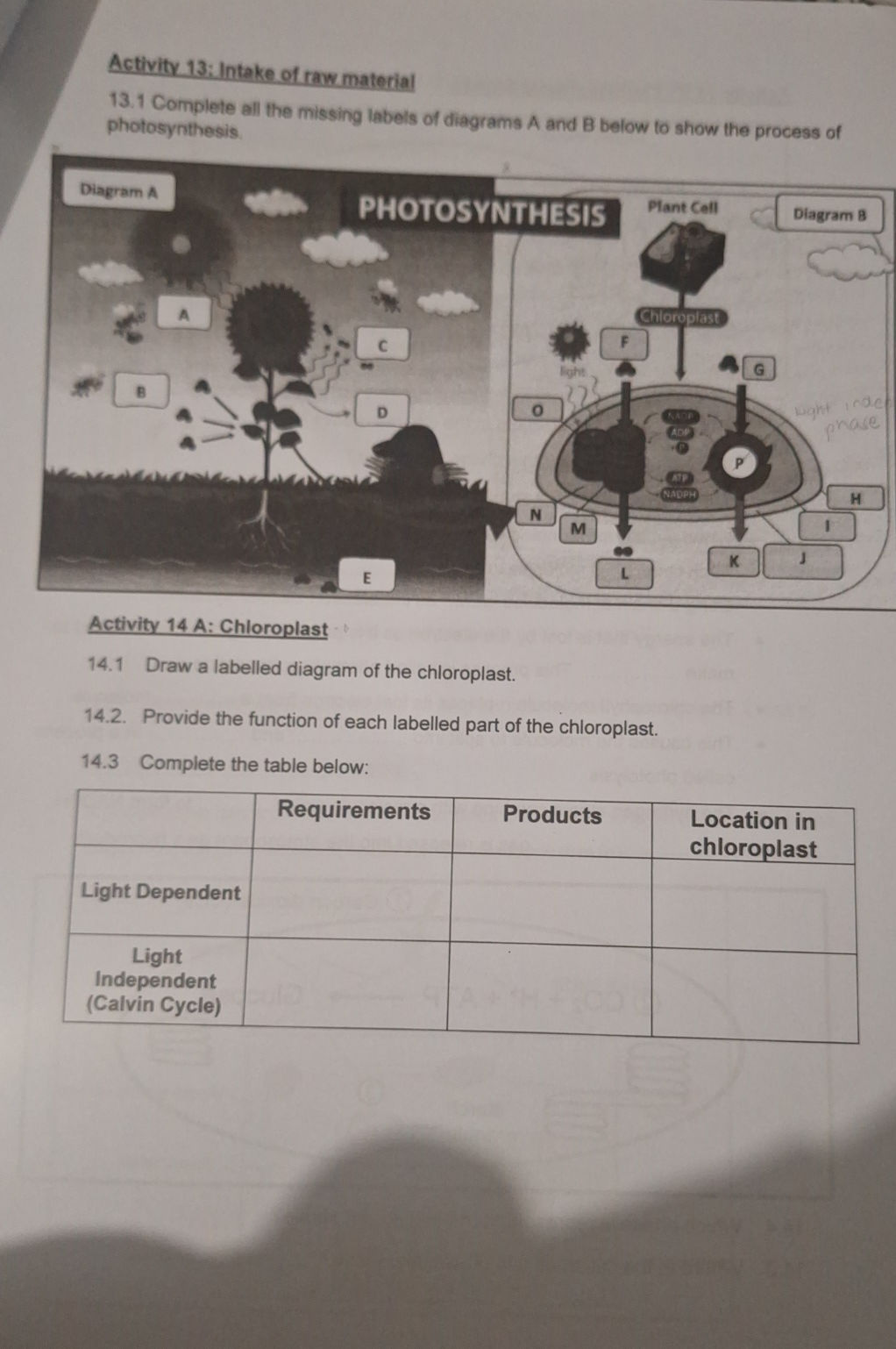 13.1 Complete all the missing labels of | StudyX