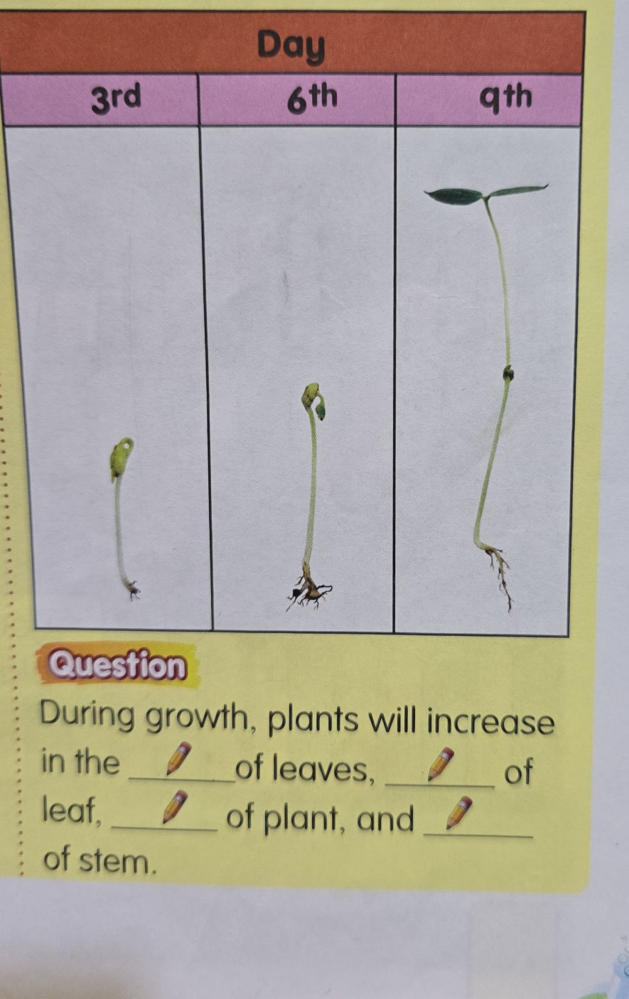 During growth, plants will increase in the | StudyX