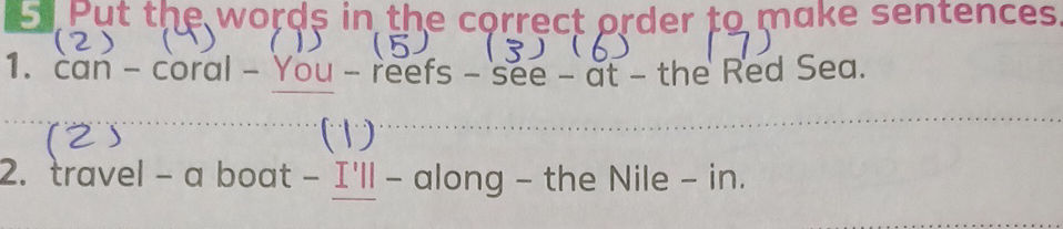 5. Put the words in the correct order to | StudyX