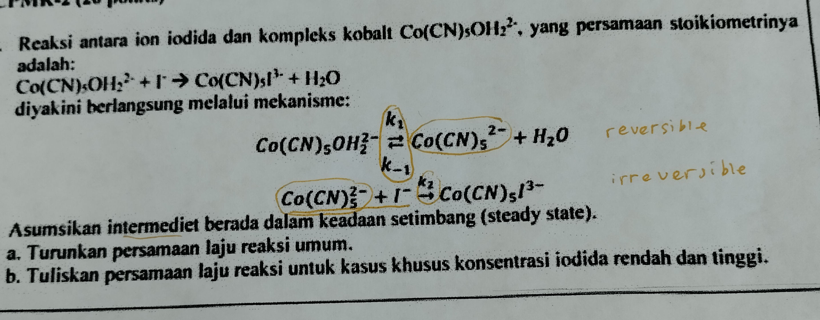 Reaksi antara ion iodida dan kompleks kobalt | StudyX