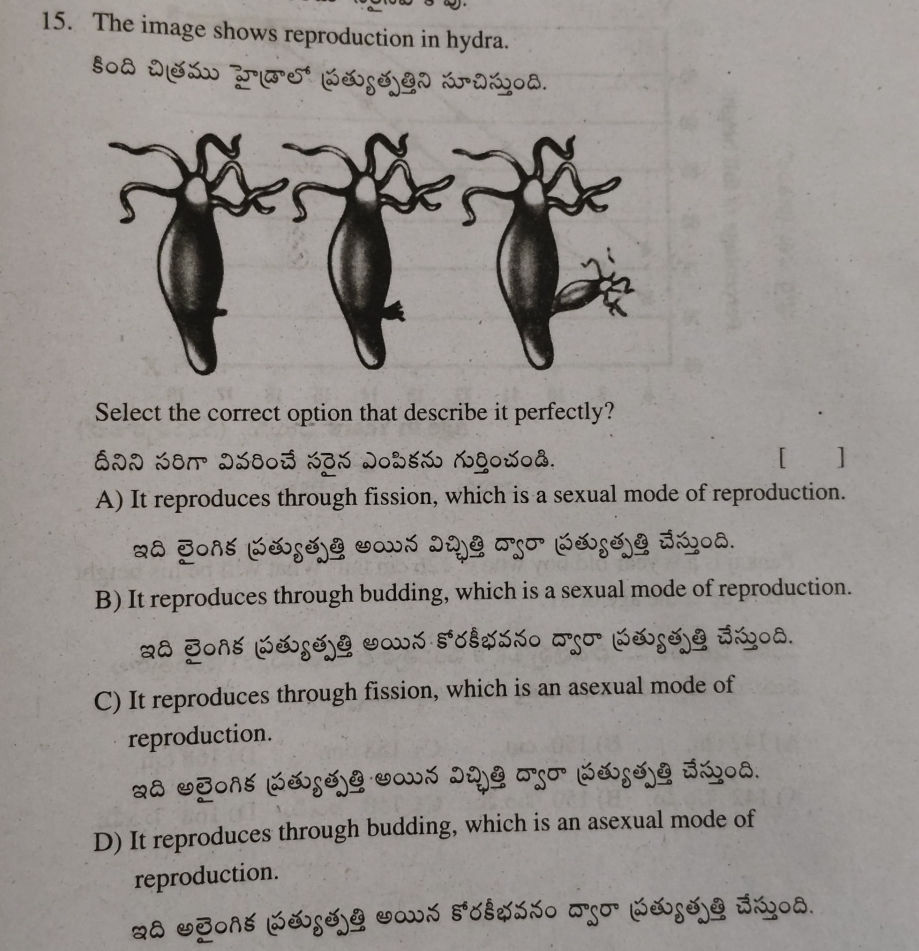 15. The image shows reproduction in hydra. | StudyX