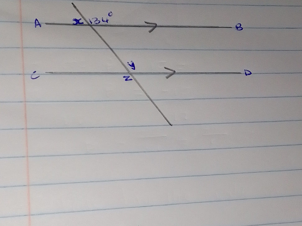 The image shows two parallel lines AB and CD | StudyX