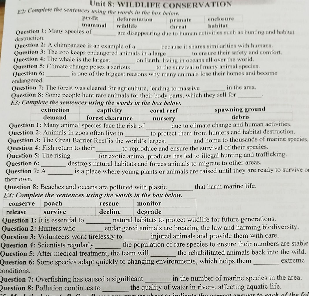 E2: Complete the sentences using the words | StudyX