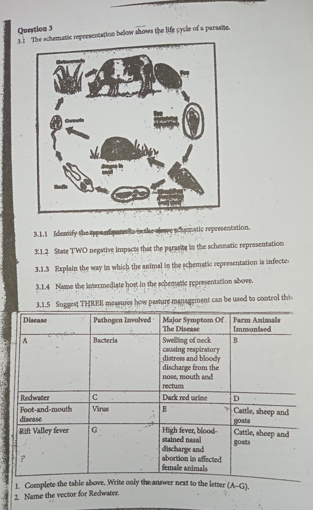 Question 3 3.1 The schematic representation | StudyX